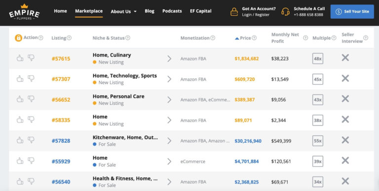 How to Monetize a Website in 2025 | Full Guide with Examples