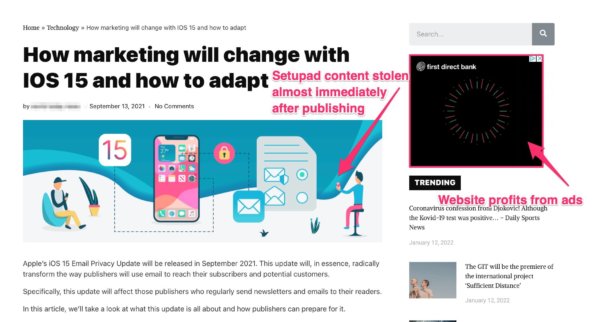 7 Types of Ad Fraud and How to Prevent Ad Fraud | Setupad