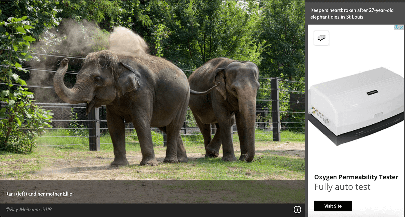 In-Image Ads: Everything Publishers Should Know